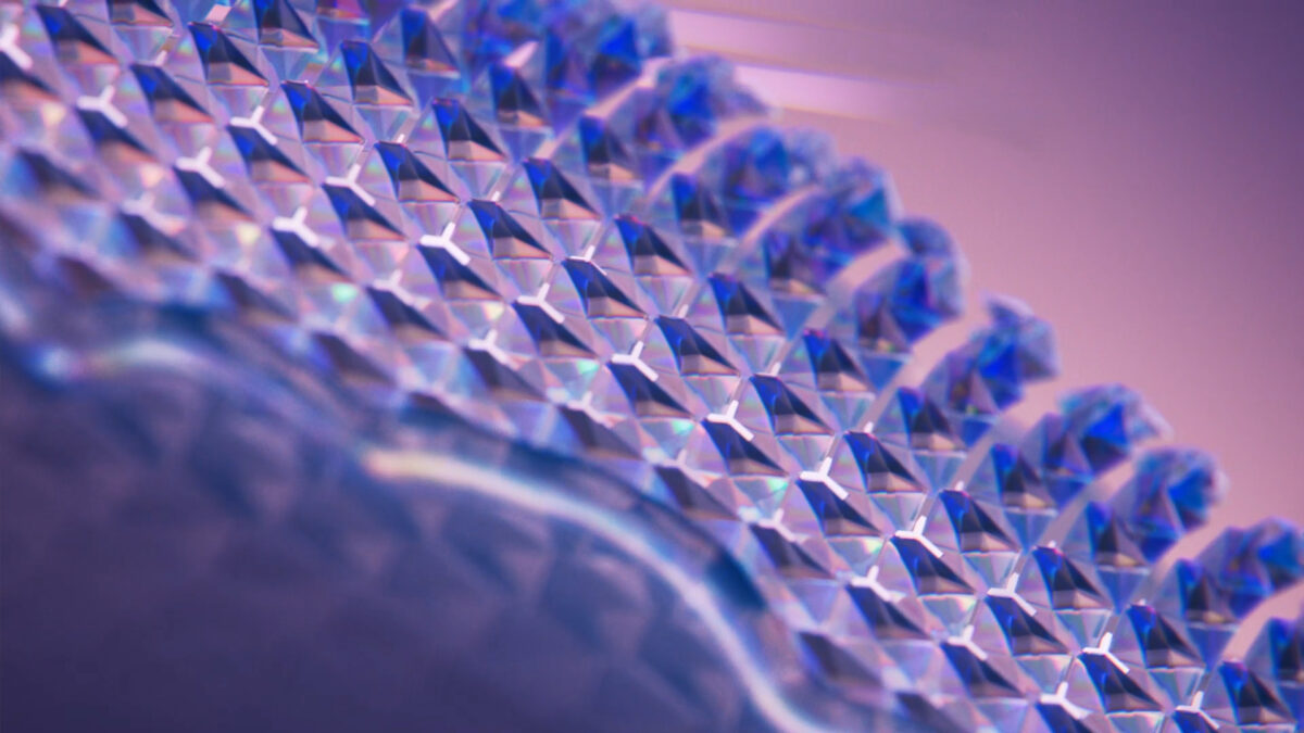 Morph - Nexus Studios