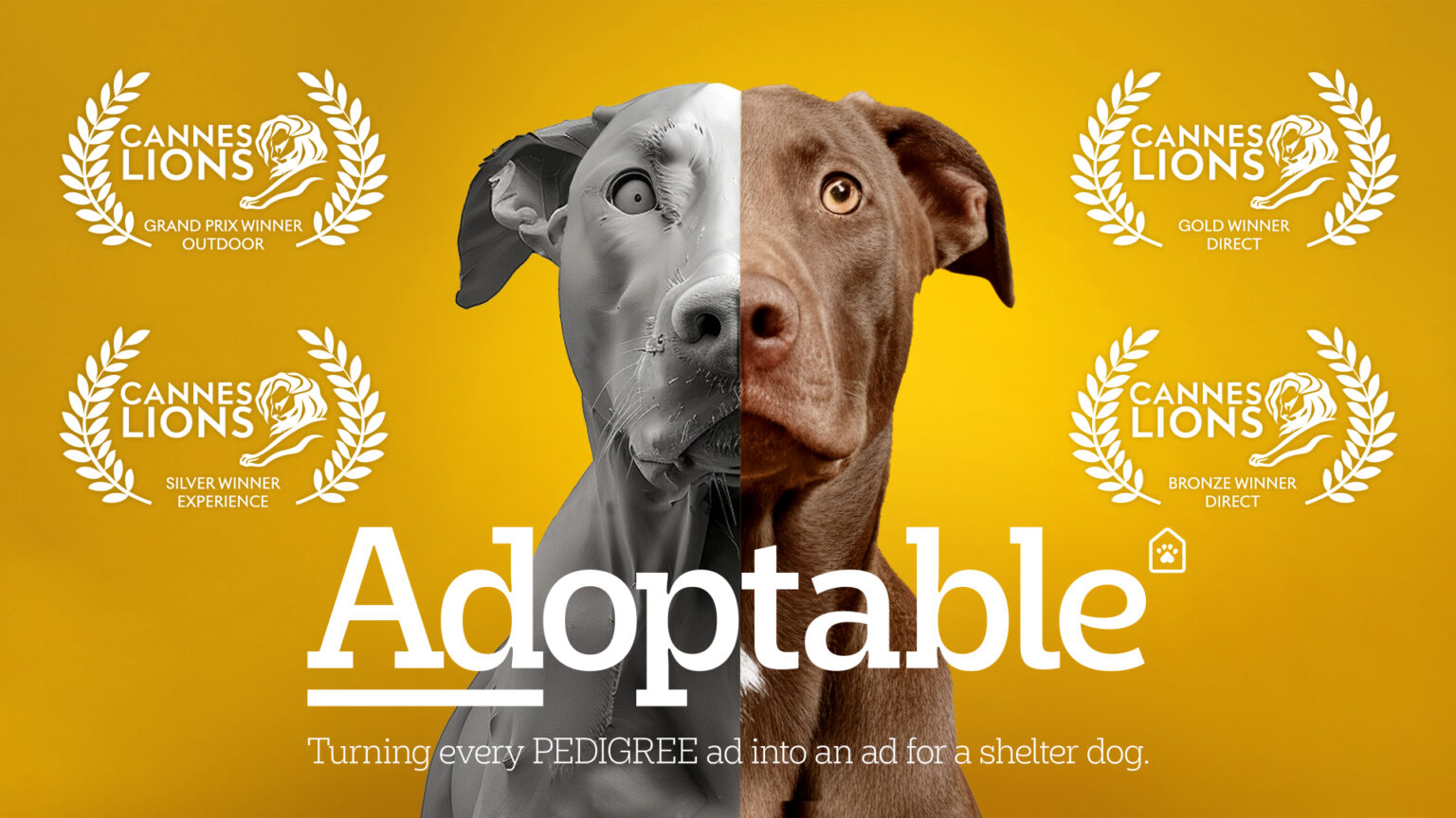 Cannes Lions Awards Roundup - Nexus Studios